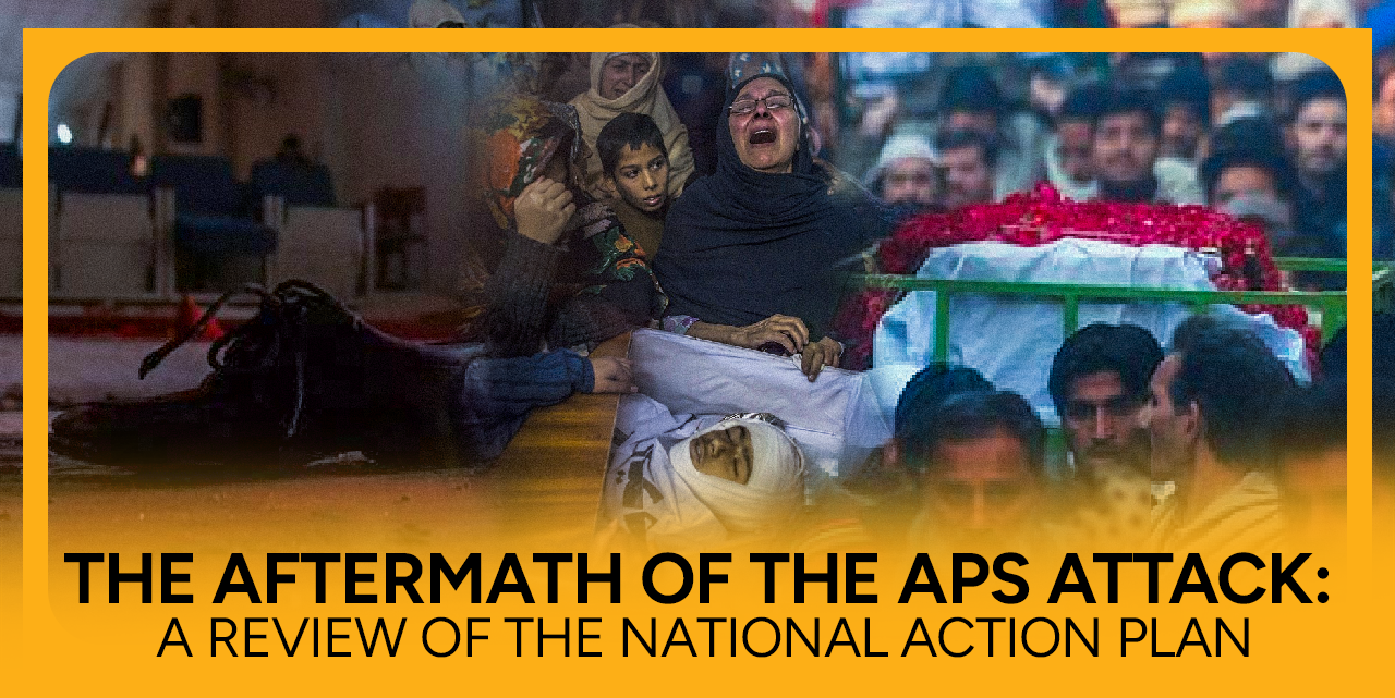 A Review of the National Action Plan - APS Attack - Rava Documentary Films